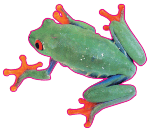 Cutting with ONYX - Onyx Graphics - RIP Software for wide-format print